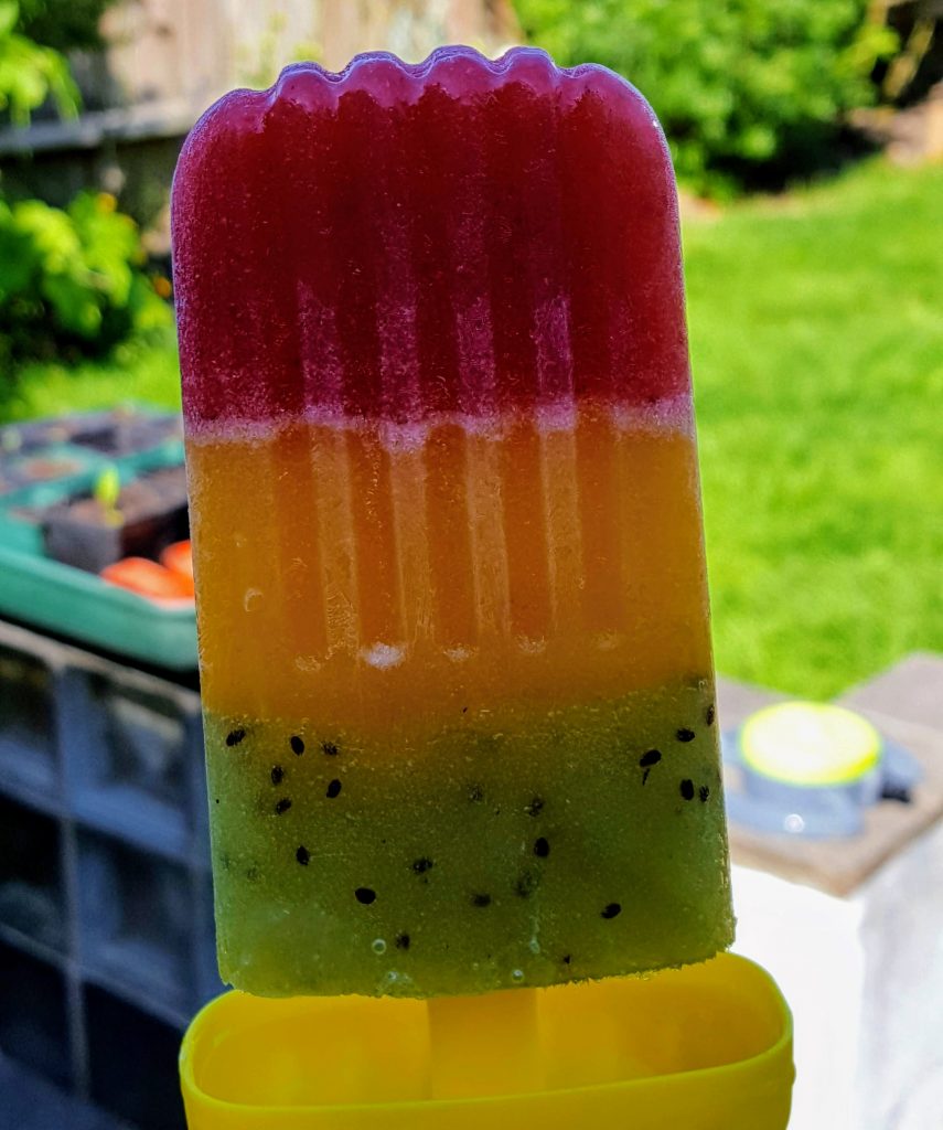 Fresh Fruit Ice Pop – REKHA'S GARDEN AND KITCHEN