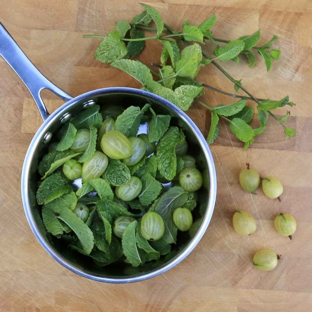 Mint and Gooseberry Sauce – REKHA'S GARDEN AND KITCHEN