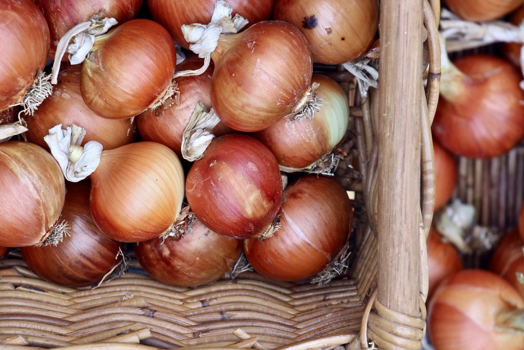 The Edible Allium – REKHA'S GARDEN AND KITCHEN